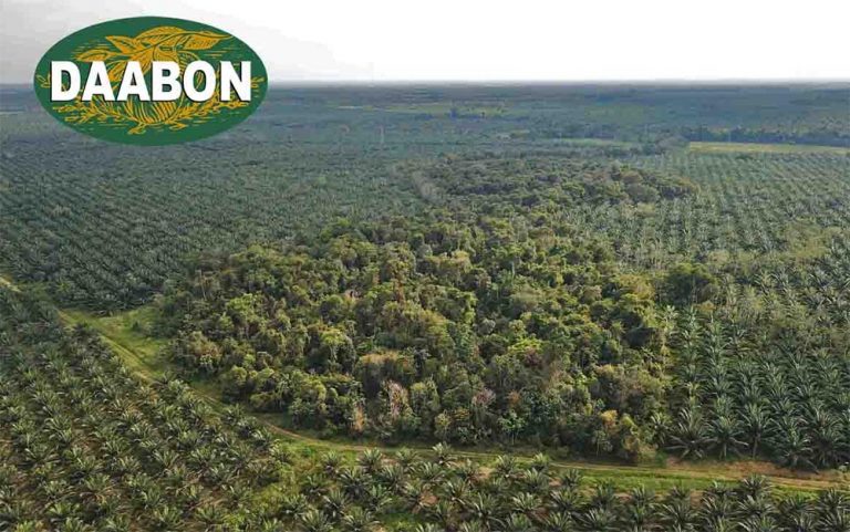 Grupo Daabon recibe distinción por brindar oportunidades laborales a ...